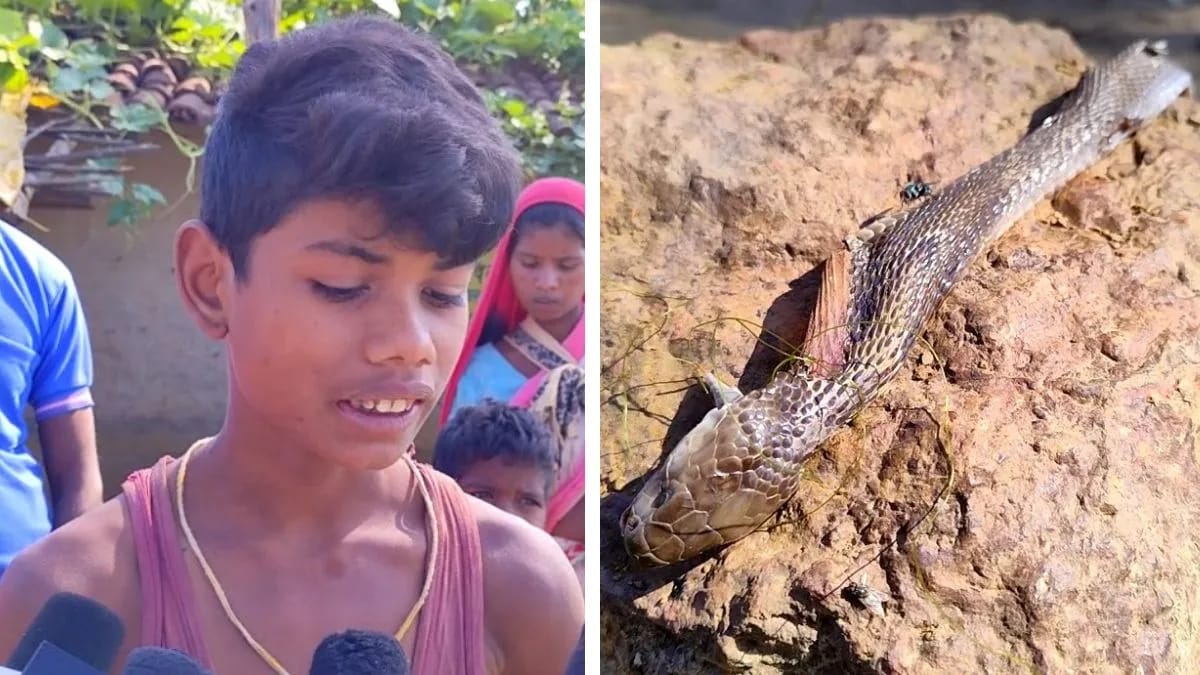 A 10-year-old Chhattisgarh boy bites a snake to death