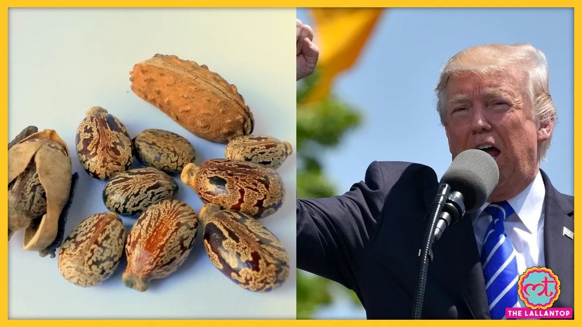 What is Ricin? Deadly poison sent to trump.