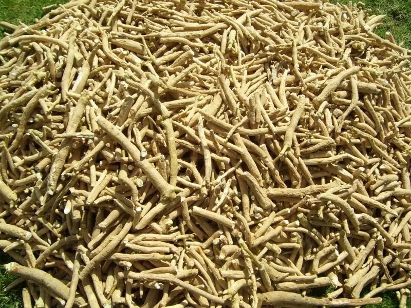 Know more about moosli